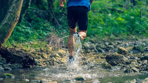 humanik Stellvermittlung - Finden Sie Ihren perfekten Job